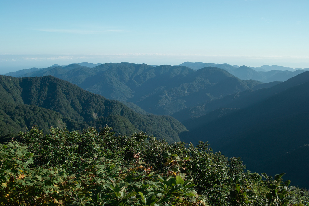 白神山地 | 日本 | 世界遺産オンラインガイド